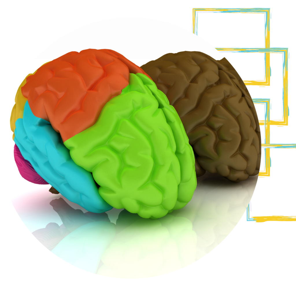 Sensory Processing Disorder Introduction Little Pods sensory-processing-disorder-introduction-little-pods